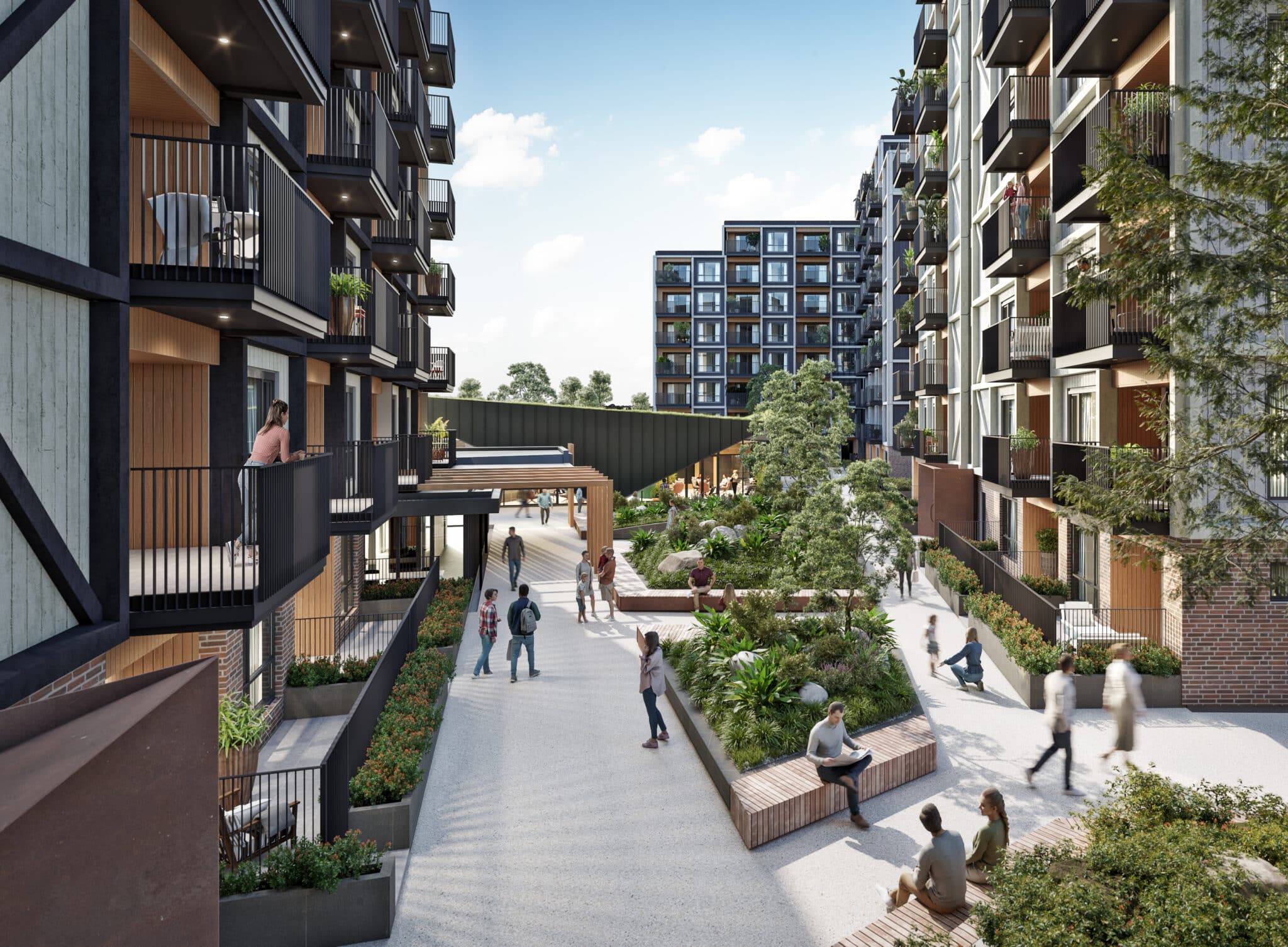 First Look inside NZ's biggest build-to-rent scheme - Ashton Mitchell ...